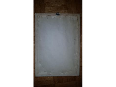 Borislav Pelević 61097605