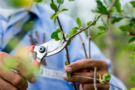 Nutrilite Traceability
