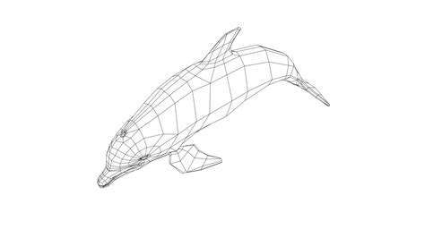 Dolphins 3d Obj
