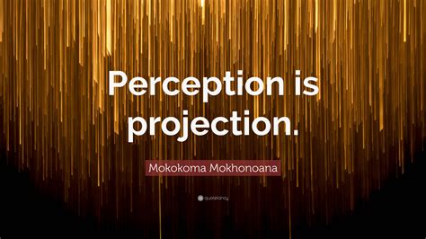Mokokoma Mokhonoana Quote “perception Is Projection ”