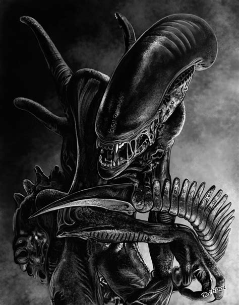 Xenomorph By Freakingfabulous On Deviantart