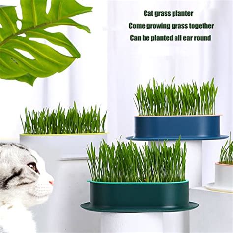 Aedlay Cat Grass Planterno Seeds Included Cat Grass For Indoor Cats Hydroponic Cat Grass