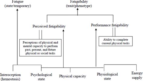 Measuring And Understanding The Health Impact Of Greater Fatigability