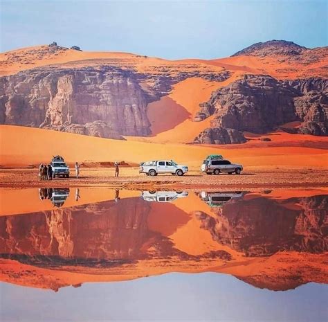 Faycal Melzi Posted On Linkedin