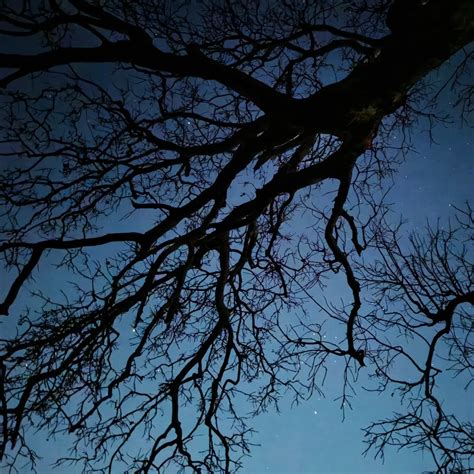 Clicksbyrishk • Instagram Photos And Videos