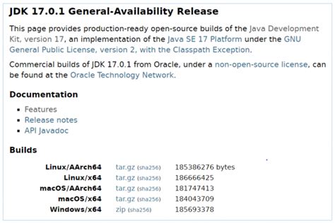 Java OpenJDK Download And Install On Windows OS