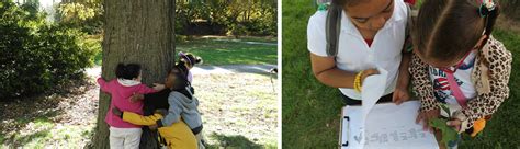 Canopy Classroom The Emerald Necklace Conservancy