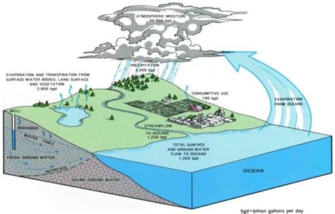 Groundwater Cycle