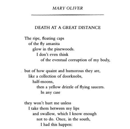 Wedding Poem Mary Oliver
