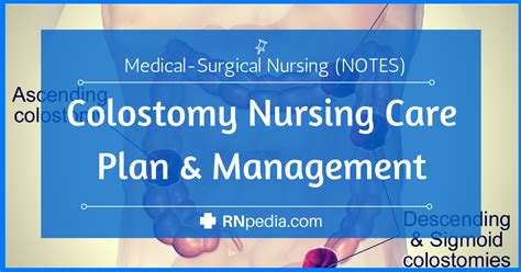 Colostomy Nursing Care Plan Interventions And Management