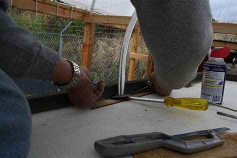 Lifelines Pulpit And Pushpit