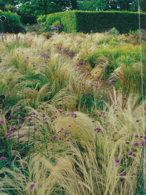 Each Little World Prairie Garden Grasses Landscaping Grasses Garden