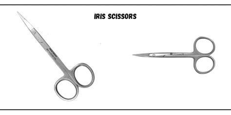 10 Most Common Types Of Surgical Scissors And Their Uses