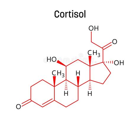 Steroid Structural Formula