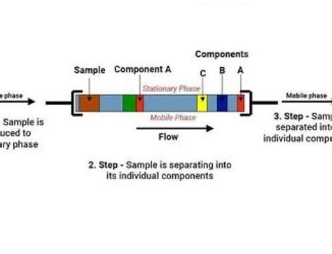 Polar Column In Hplc Example Hawach Polar Column In Hplc Example Hawach