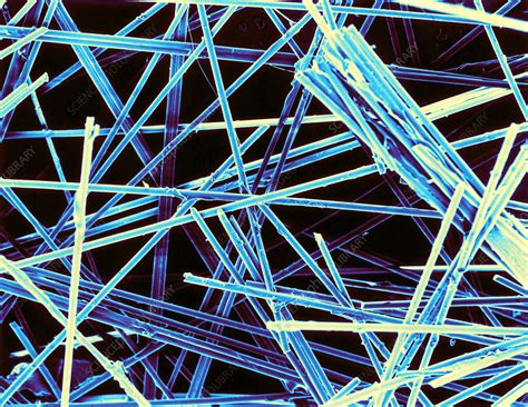 Fiberglass Sem Stock Image C0253013 Science Photo Library