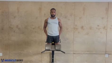 Medial Hamstring Exercises Complete Training Guide Musclewiki