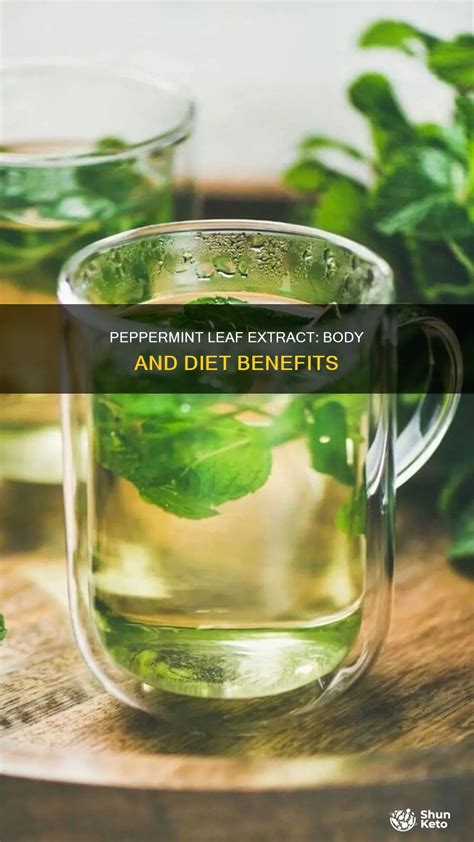 Peppermint Leaf Extract Body And Diet Benefits Shunketo