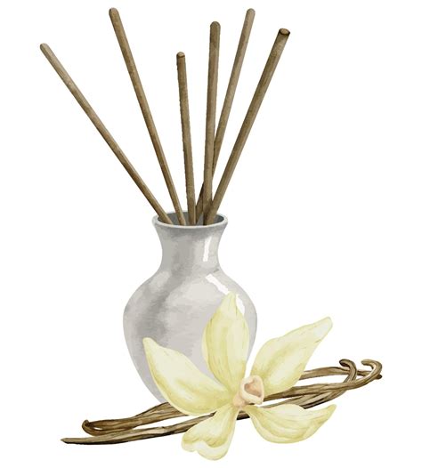 Premium Vector Diffuser With Vanilla Flowers And Sticks Hand Drawn