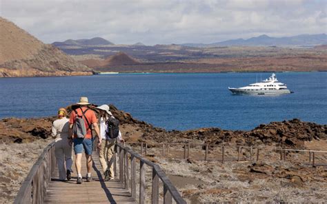 Uncruise Alaska Reviews Our Expert Tells All You Need To Know