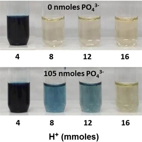 Optimal Concentrations Of The Ammonium Molybdate And Ascorbic Acid Download Scientific Diagram