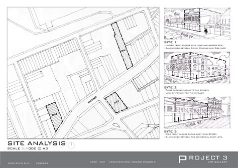 Zhenxunchin Week 9 Site Analysis Project 3