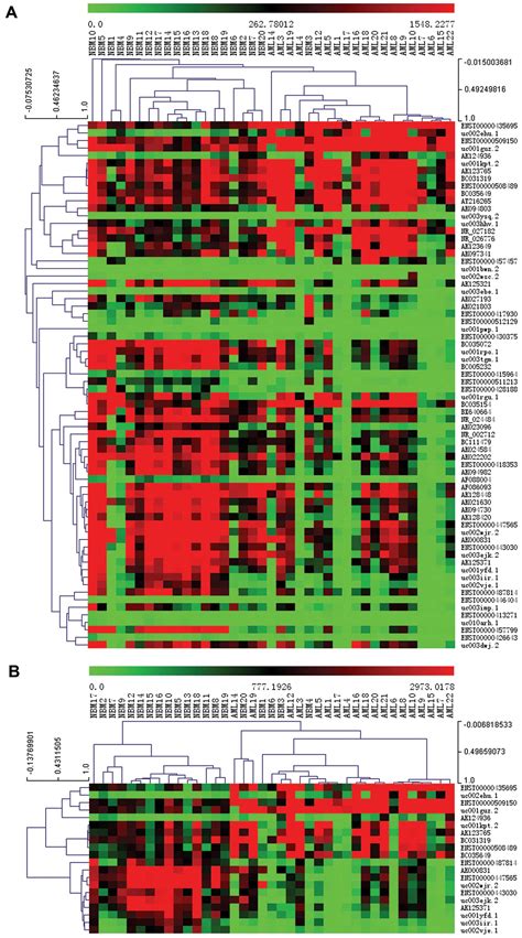 Microarray Profiling Of Bone Marrow Long Non Coding Rna Expression In