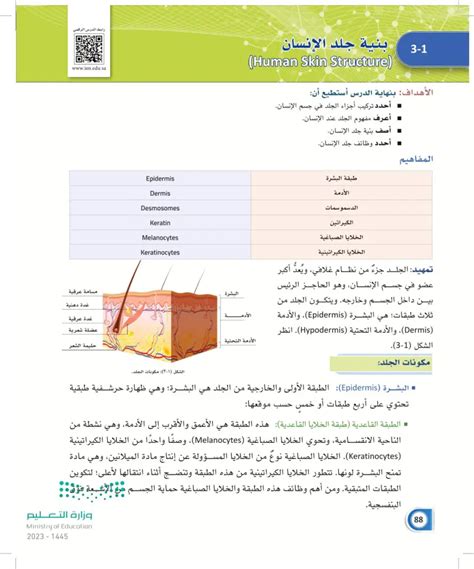 مكونات الجلد البشرة Epidermis عين 2024 بنية جلد الإنسان أنظمة جسم الإنسان ثالث ثانوي
