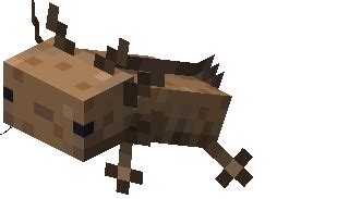 Axolotl Minecraft Wiki Fandom