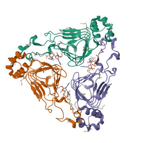 Rcsb Pdb 1mr9 Crystal Structure Of Streptogramin A Acetyltransferase