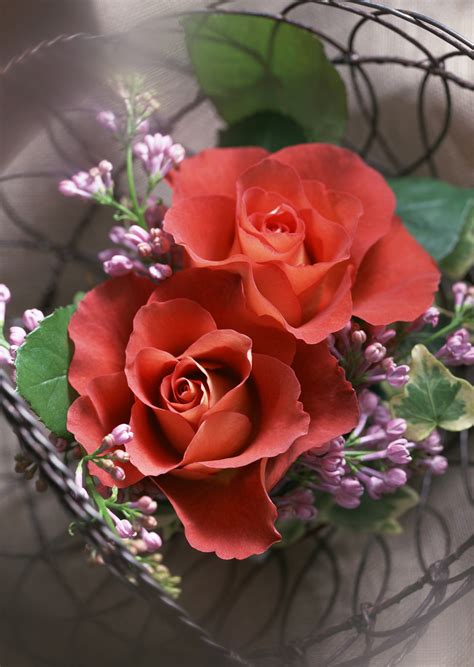 گلدان گل مدرن