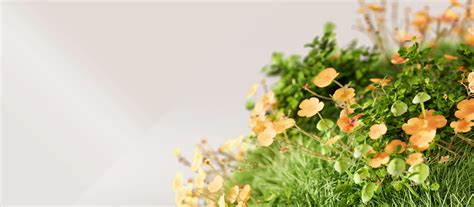 Microsoft 可持续性 有助于实现可持续未来的产品