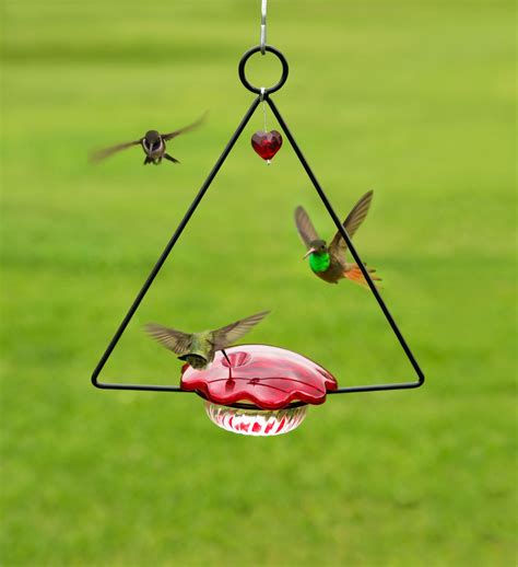 Hummingbird Swing Feeder Humming Bird Feeders Hummingbird Swing