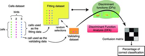 Cross ­ Validated Discriminant Function Analysis Dfa The Different Download Scientific