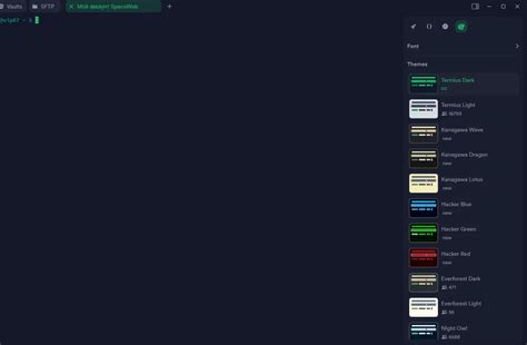 Настройка Ssh клиента Termius Раздел помощи Spaceweb