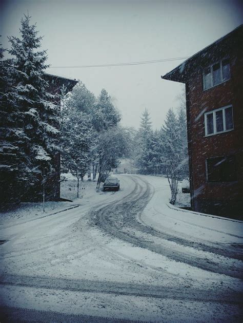 Img 20141228 151236 Jasenko Korjenić Flickr