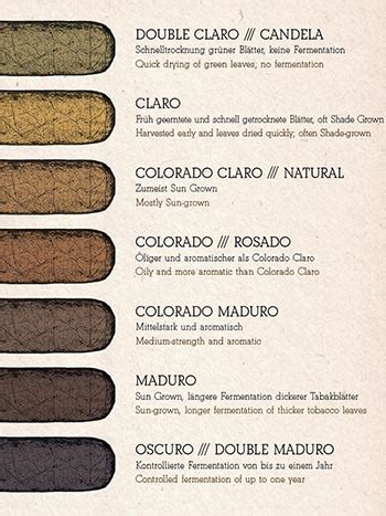 Cigar Sizes ~~ A Size And Shape Guide For All Cigars