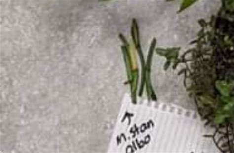 Amanda Deguio Lead Missing 8 Years R Truecrimemystery