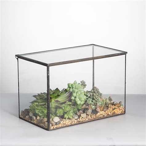 Ncyp Glass Terrarium Box With Lid For Succulent Small Plants