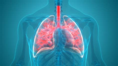 Chronic Bronchitis Vs Emphysema Whats The Difference
