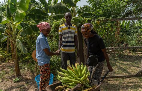 Course Tropical Agriculture Platform Fao Elearning Academy