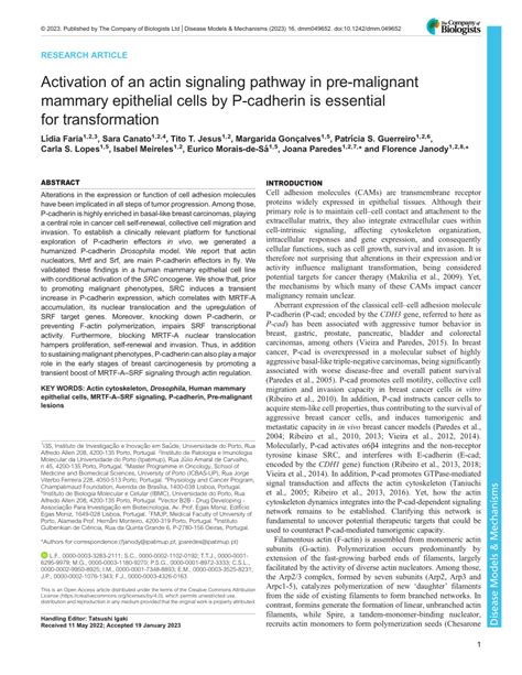 Pdf Activation Of An Actin Signaling Pathway In Pre Malignant Mammary