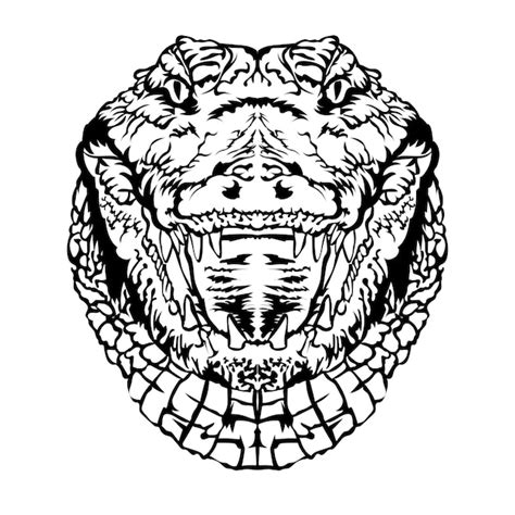 Premium Vector Crocodile Head