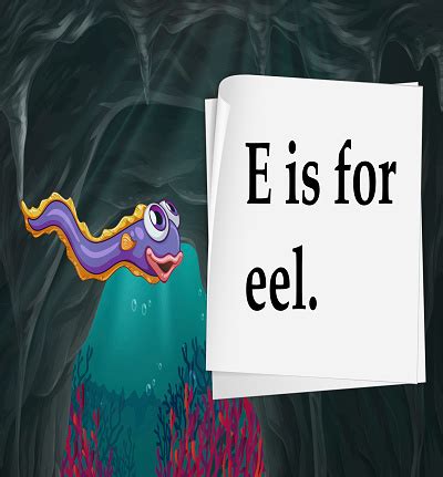 Letter E Is For Eel Stock Illustration Download Image Now Alphabet