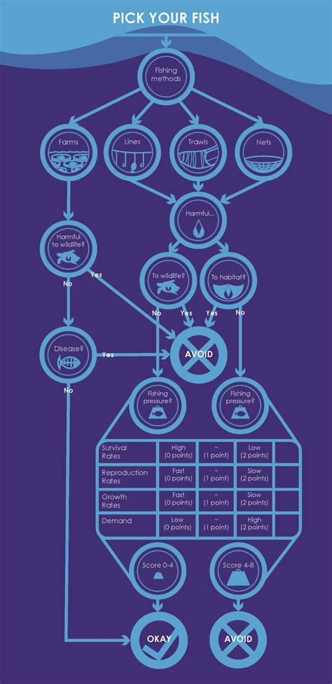 Fish Flowchart Alex Clarke Design