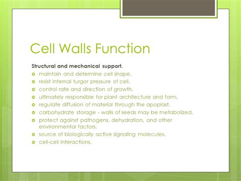 Cell Wall Function