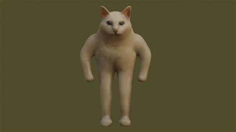 Standing Meme Cat 3d Model Turbosquid 2319597