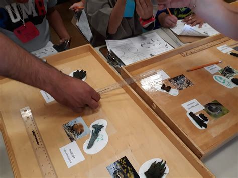 Classroom Visits Reach Museum