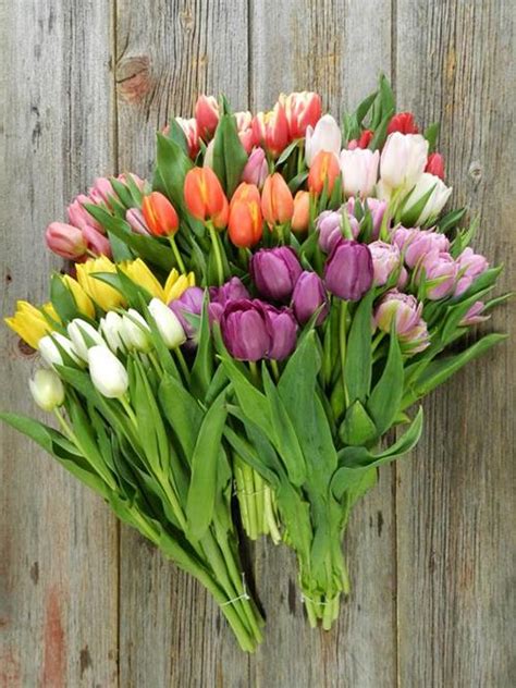Wholesale 7 Color Assorted Tulips Assorted Tulips Delivered Online