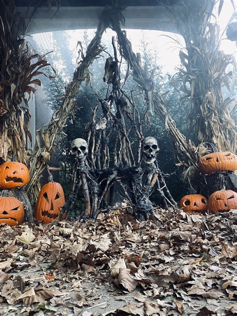 Pumpkinrotcom The Blog Halloween 2024 Haxan